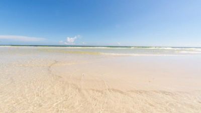 Shoreline Towers - Gulf Shores, Alabama | Bluegreen Vacations